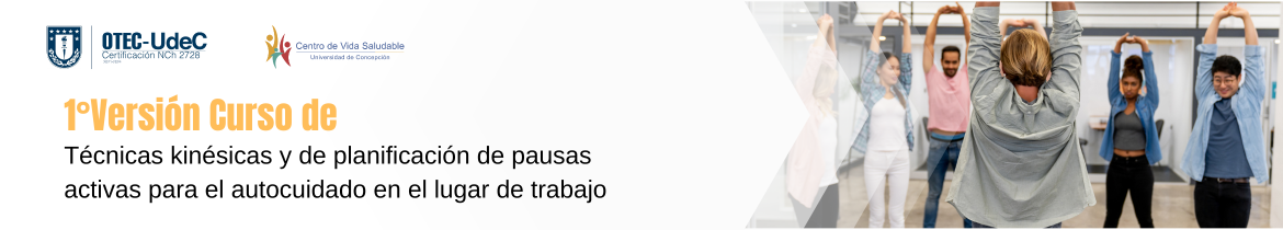 vidasaludable.udec.cl